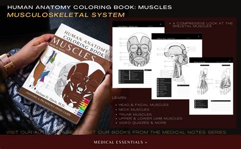 Human Anatomy Coloring Book Muscles Medical Notes Detailed