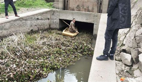 禹山镇守护一江碧水 共建美丽河湖