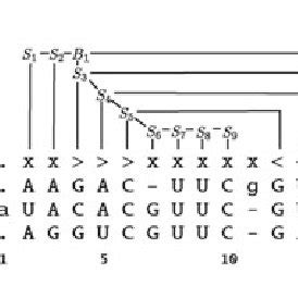 Setting Pscfg S Topology From Multiple Sequence Alignment Annotated