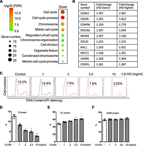 1 6 Hexanediol Affects Endothelial Cell Cycle A B Huvecs Were Treated