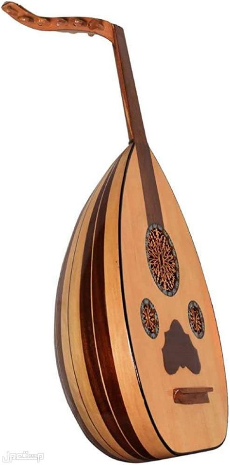 عود موسيقى للبيع تعرف على أنواعه وأسعاره ومواصفاته كاملة مستعمل