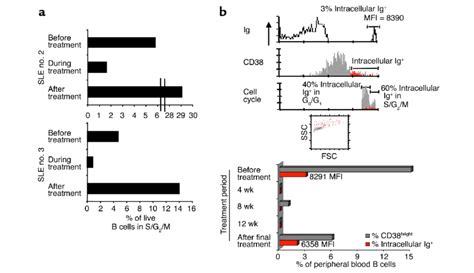 Anti CD154 Treatment Eliminates Proliferating B Cells And Ig Secreting