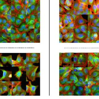 An Illustration Of The Various K Means K 4 Clustering Results On The Download Scientific