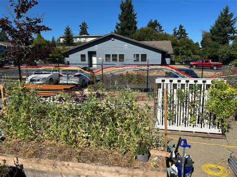 Midsummer Update July 20 2023 Pqb Fruit Tree Project