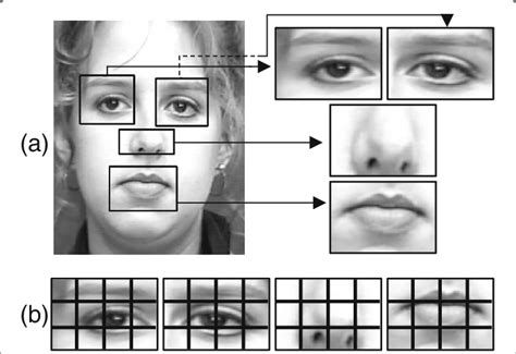 A Cropping Facial Components In The Ck Dataset B Segmenting Each