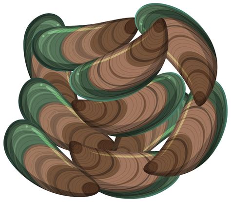 Free Vector Isolated Mussels Seafood Cartoon