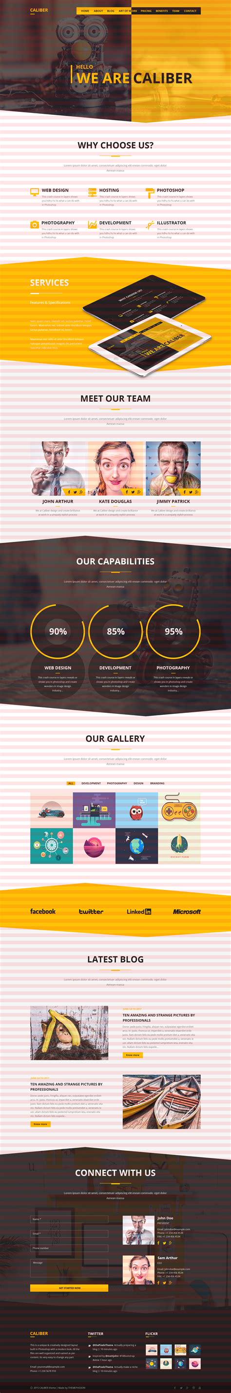 Caliber Creative Multi Purpose PSD Template By Themepassion ThemeForest