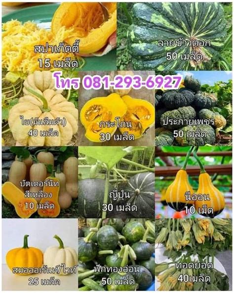 จำหน่ายเมล็ดพันธุ์ผัก กิ่งพันธุ์ ดอกไม้ทุกชนิด อย่าปล่อยให้พื้นที่