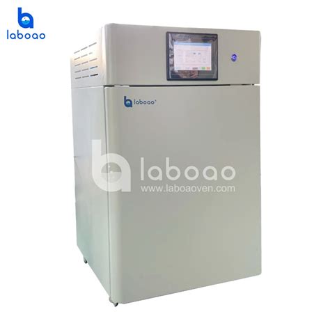 Tri Gas Incubator CO2 O2 N2 Incubator Manufacturer And Supplier In