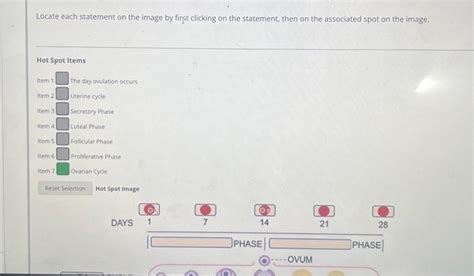 Solved Locate Each Statement On The Image By First Clicking Chegg