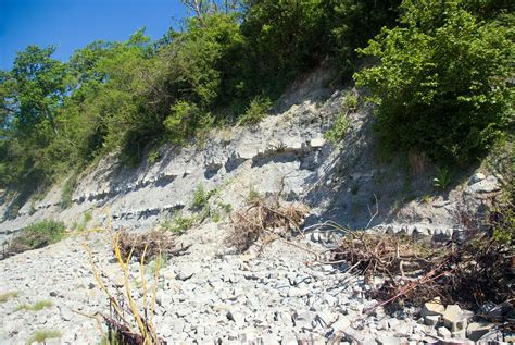 Uk Fossil Collecting