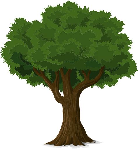 200 000 Free Nền Tree Tree Images Pixabay