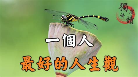 深夜讀書： 一個人的認知，一般有四種狀態！聽說只有10聰明人才真正懂得【alone 獨處伴讀】 Youtube
