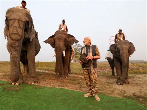 Pm Narendra Modi Kaziranga National Park Photos Update Jungle Safari