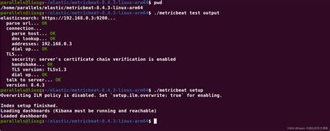 Observability：集群监控 （二） Elastic Stack 8 X Llection Enabled Csdn博客