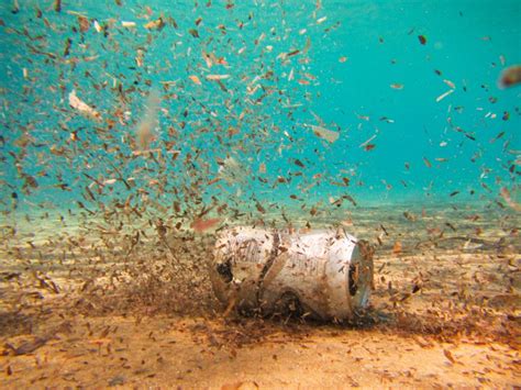 Quand La Pollution Des Océans Menace Notre Santé La Saison Bleue