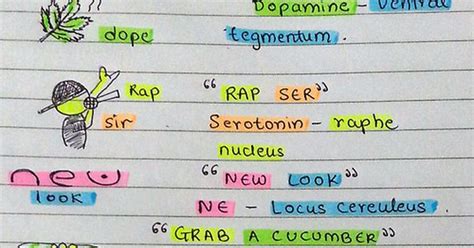 Mnemonic For Locations Of Neurotransmitter Synthesis Neuro Love Pinterest Med School
