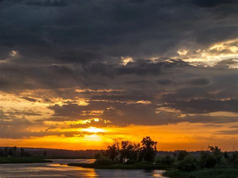 Природа саратова