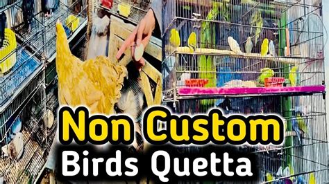 1700 Ka Target Pora Bazar Loot Liya🥰pathan Ke Sath Dokha😱village Vlogs