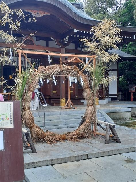 今年も茅の輪くぐり Driess Life