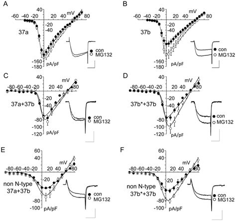 Inhibition Of The Proteasome Increases Ca V 22 Current Densities In