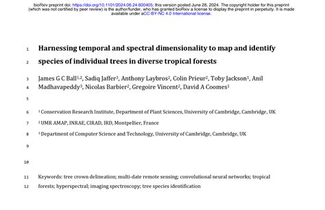 Harnessing Temporal And Spectral Dimensionality To Identify Individual Trees In Tropical Forests