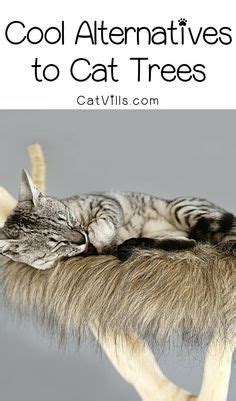 Incredibly Cool Alternatives To Cat Trees Artofit