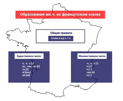 Французские глаголы 1 ой группы в основных временах