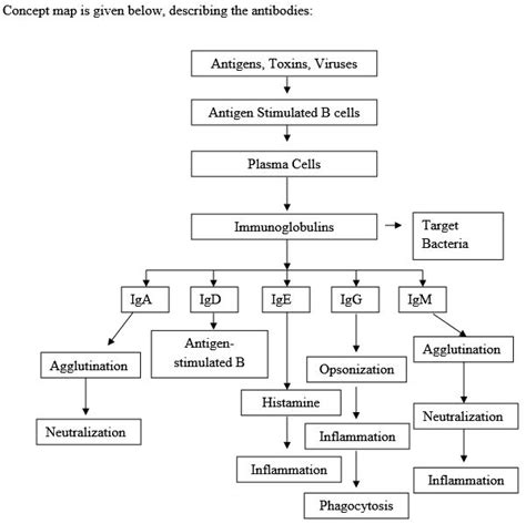 microbiology with diseases by taxonomy chapter 16 answers microbiology