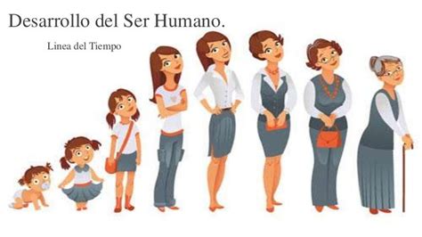 Fases Del Ser Humano