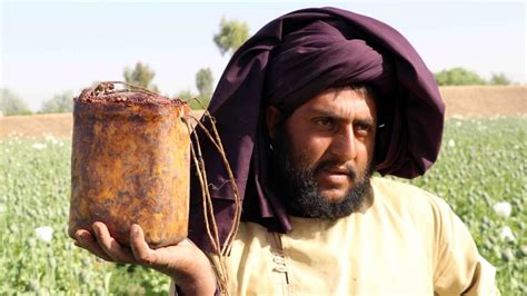 Taliban Turns Blind Eye To Opium Production Despite Official Ban