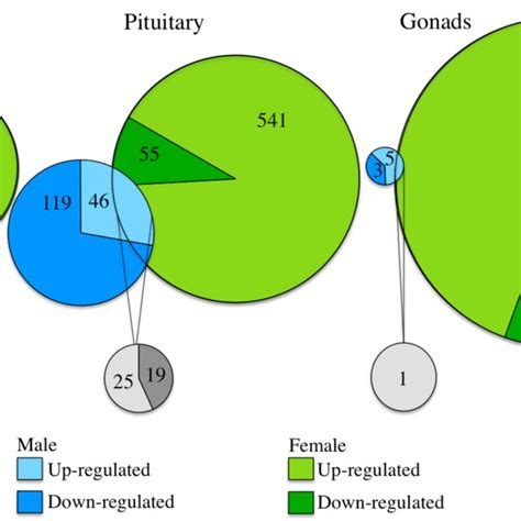 A Weighted Venn Diagram Depicting The Overlap Of The Number Of