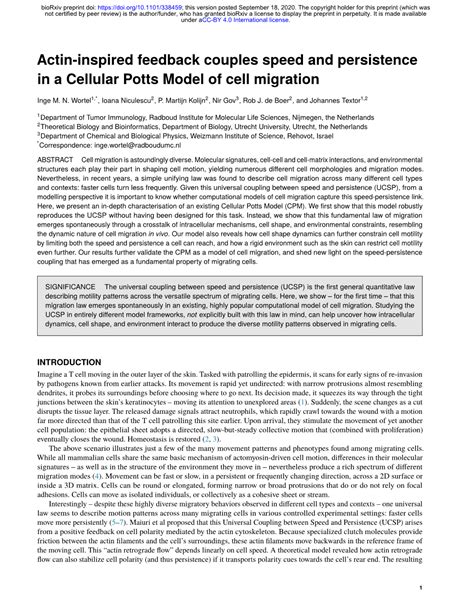 Actin Inspired Feedback Couples Speed And Persistence In A Cellular