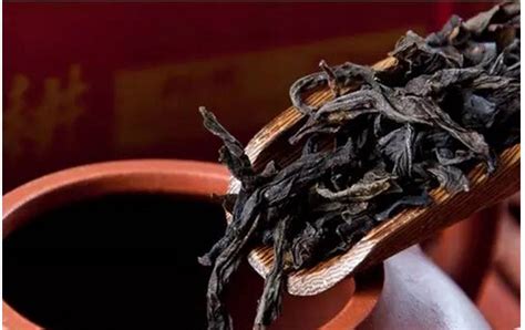 茶叶怎样才算过期过期了还能喝吗 常见问答 信阳市华阳工贸有限公司 信阳茶叶机械 茶叶加工设备 杀青机 茶叶揉捻机 茶叶理条机 茶叶