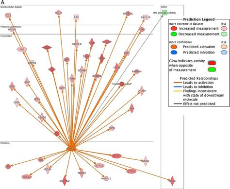 Most Activated Upstream Regulators Of Gene Expression In Response To Download Scientific