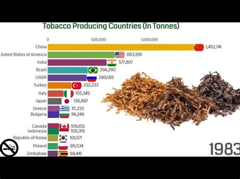 Tobacco Producing Countries Tobacco Producers 1950 2020 YouTube