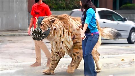 19 Pets You Wont Believe Actually Exist Youtube