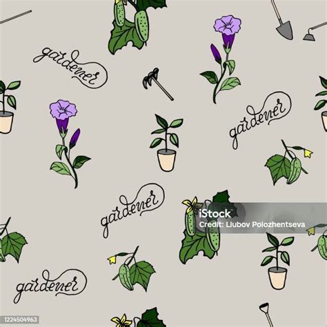 無縫圖案在園丁 花瓣 番茄 黃瓜 洋蔥 草莓 手繪 塗鴉 向量向量圖形及更多俄羅斯圖片 俄羅斯 健康飲食 具有特定質地 Istock