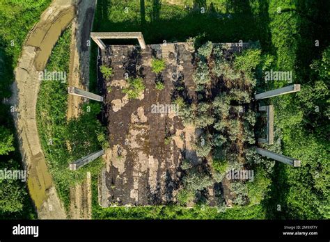 Aerial View Of An Abandoned Building In The Middle Of Nature Overgrown With Trees And Plants