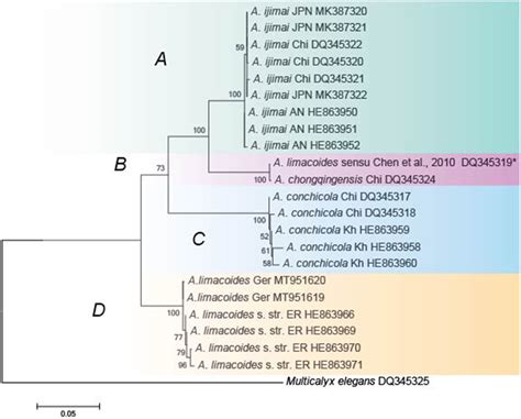 Phylogenetic Tree Based On Analyses Of ITS1 5 8S ITS2 Sequences Of