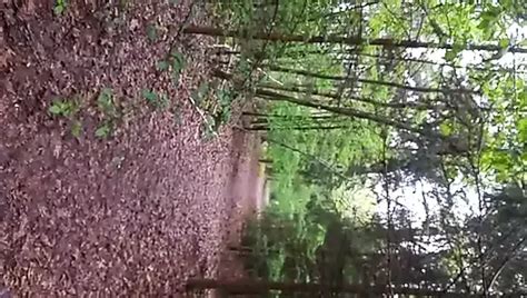 Outdoor Cum Gay Cumshot Amateur Porn Feat Bim52 Xhamster