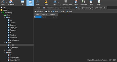 35 《数据库系统概论》之基本表更新（insert、update、alter、delete）与视图view（定义、查询、更新）insert Set Update Set Csdn博客