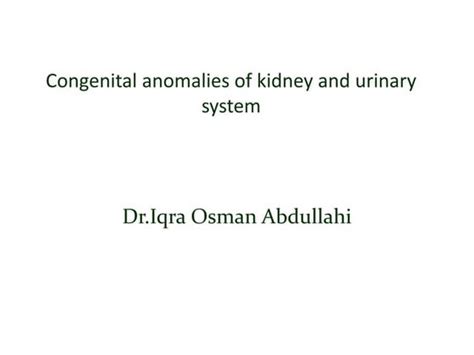 Congenital Development Of Urinary System Ppt