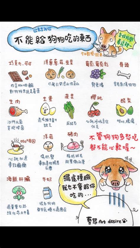 圖 狗狗不能吃的食物 Dcard 佛光大學板