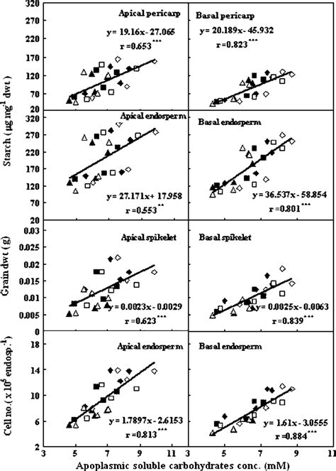 Relationship Of Apoplasmic Soluble Carbohydrates Of The Endosperm Space
