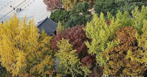 알록달록한 가을