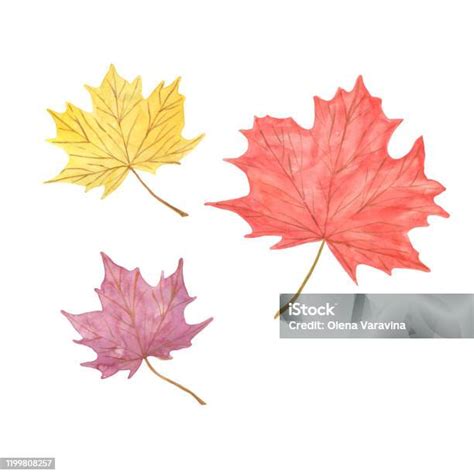 손으로 그린 수채화 빨강과 노랑 단풍 나무 잎 심플한 무늬 가을에 대한 스톡 벡터 아트 및 기타 이미지 가을 가을 단풍 감정 Istock