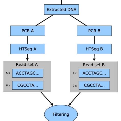 schematic representation of the split sample approach extracted dna
