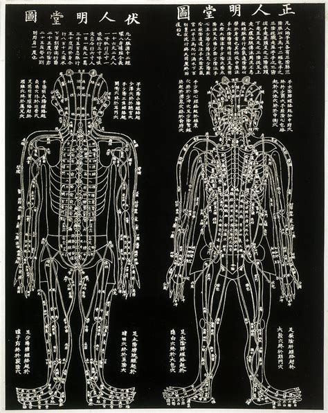 Chinese Acupuncture Chart
