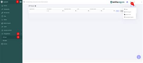 How To Access The Api Keys Report In Mysafe Mysafe Senhasegura